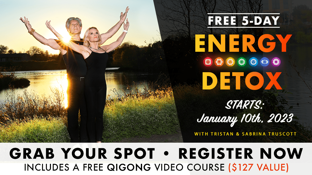 PRETOX for the Energy Detox & Reboot (2023)